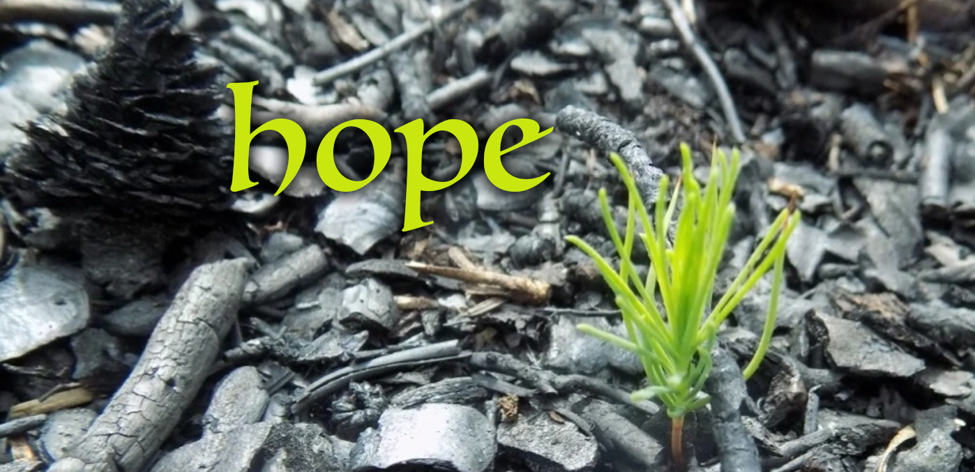 Language Spotlight: Kibo (Hope) – Fowlers in Japan